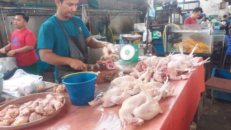 Harga Daging Ayam Mahal, Pedagang Dan Peternak Bisa Buntung - Index Sumut